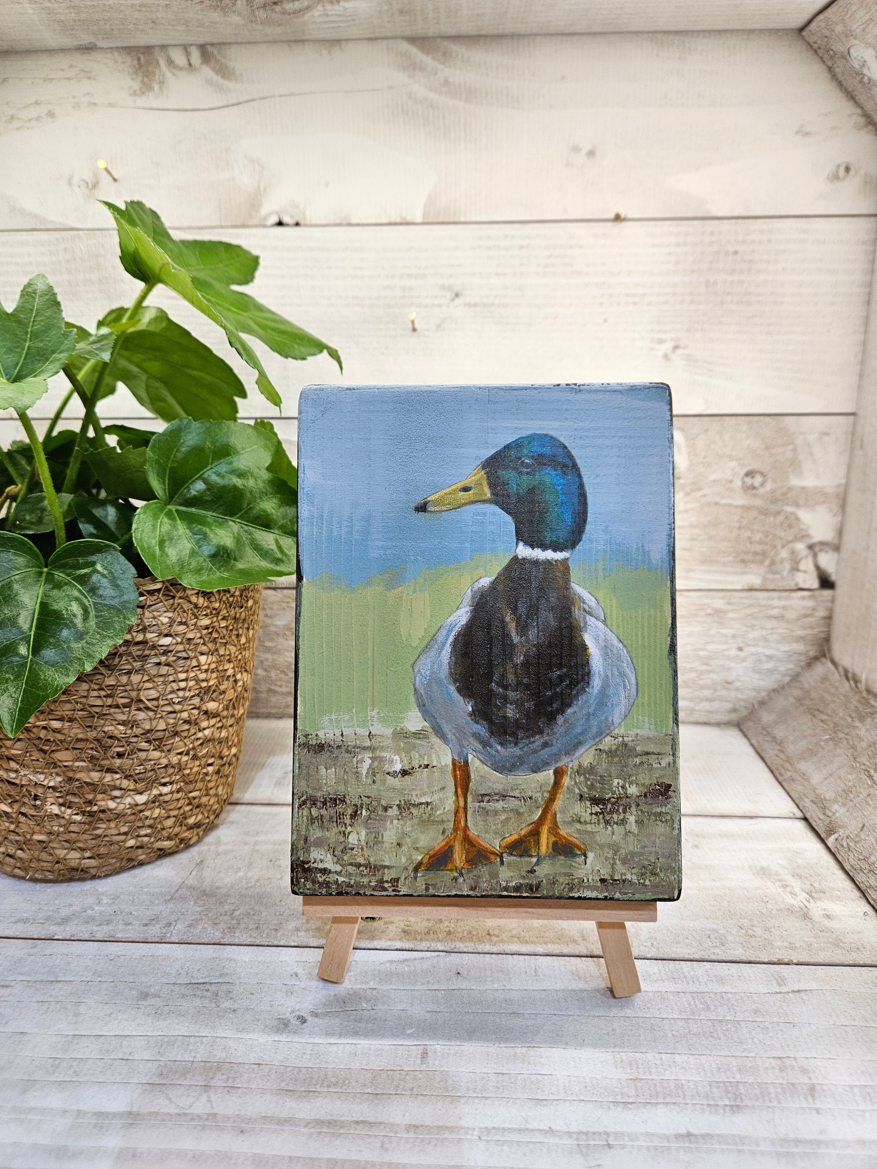Steve Ferguson - Mallard | BRIGHTWATER GALLERY